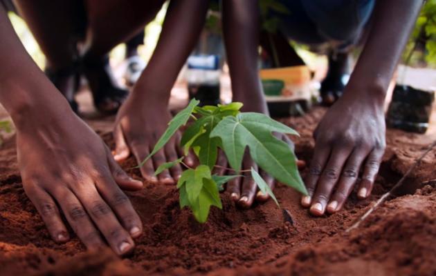 Aide humanitaire : quels sont les grands enjeux