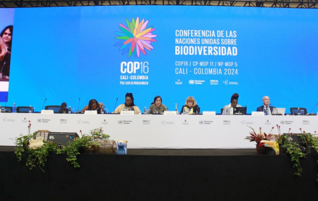 Poursuite de la Cop 16 à Rome : une feuille de route pour le ...