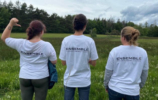Journée mondiale de l'environnement : 343 journées solidaires réalisées ...
