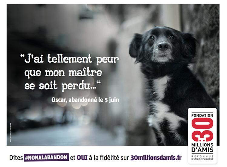 La Fondation 30 millions d'amis lance sa campagne d'été | Carenews INFO La Fondation 30 millions d'amis lance sa campagne d'été | Carenews INFO