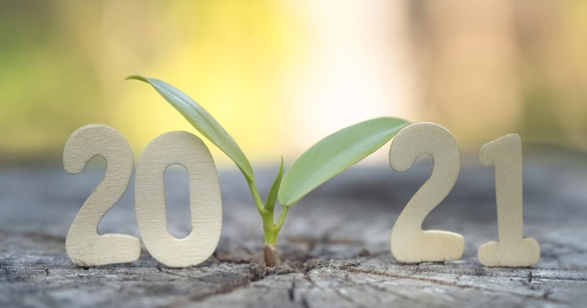 5 initiatives solidaires lancées en 2020 à suivre en 2021 | Carenews INFO