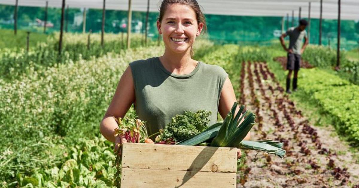 Métiers verts et verdissants : un tremplin vers l’emploi des jeunes ...