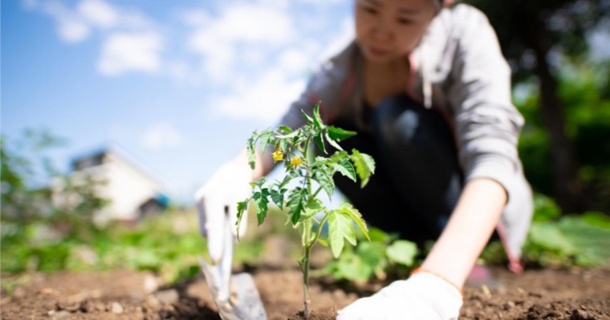 Comment l’ESS peut-elle assurer une transition écologique juste ...