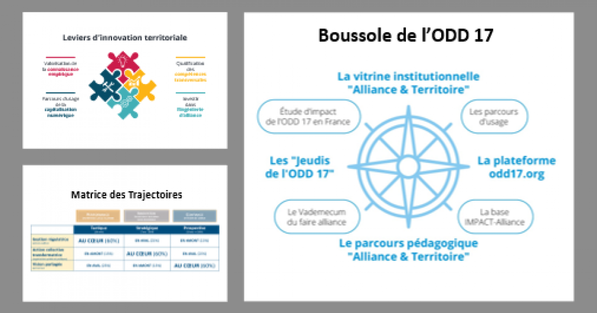 L'innovation territoriale au cœur des Transitions | Le RAMEAU