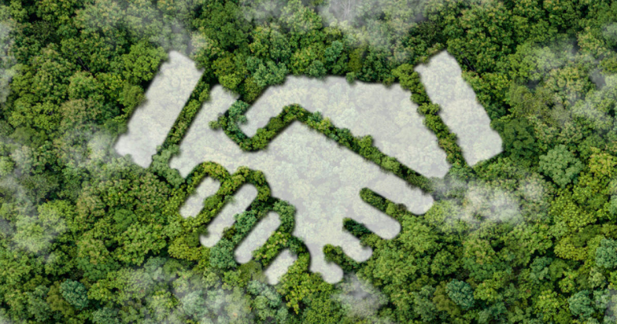 Transition écologique et engagement associatif : les enjeux d’une ...