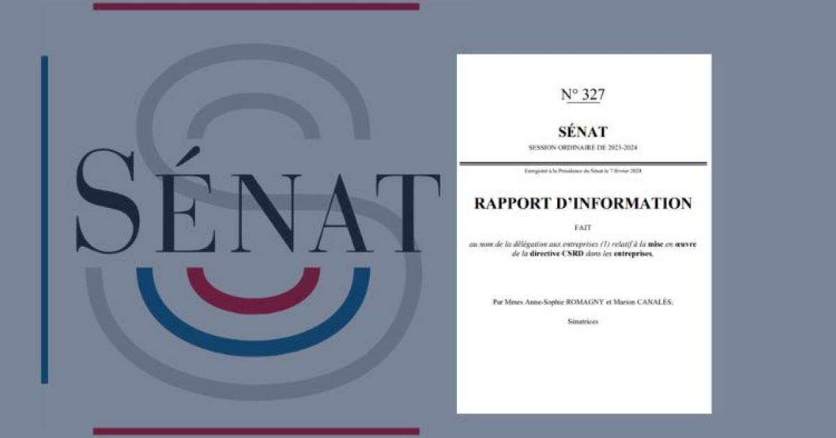 Retour sur le rapport sur la CSRD publié par la Délégation aux ...
