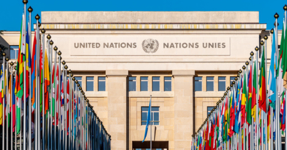 La déception des ONG de solidarité internationales à l’issue de la ...