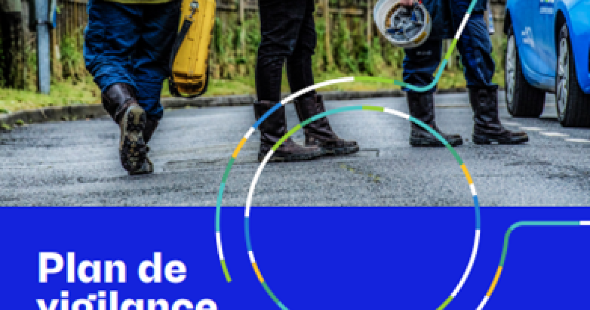 Devoir de vigilance : Enedis renforce son engagement avec un nouveau ...