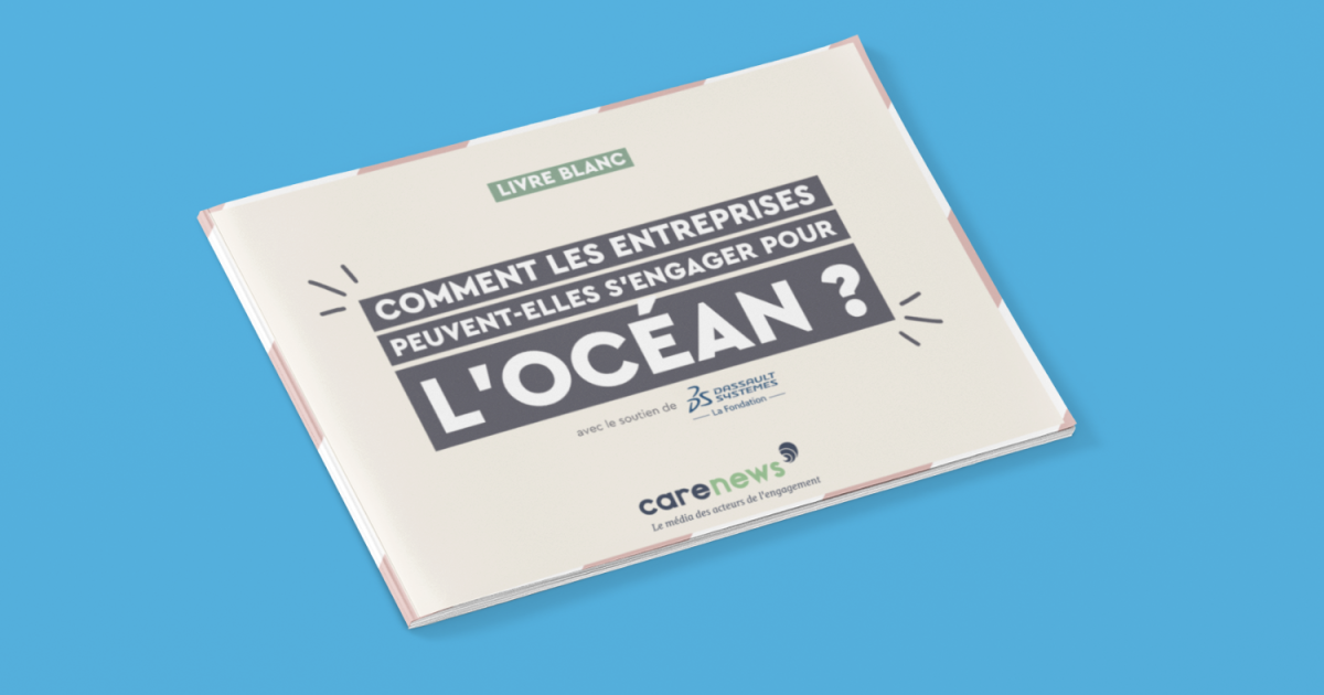 Entreprises : comment s’engager pour la protection des océans