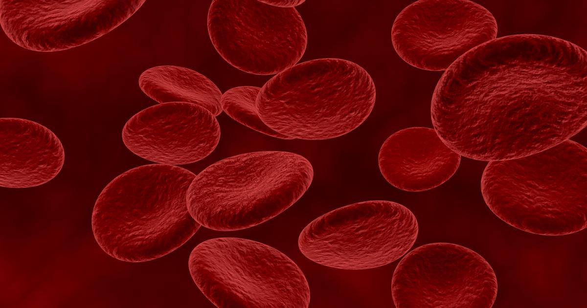 [D'AILLEURS] Belgique : plus de dons d'organes grâce au Télédon ...