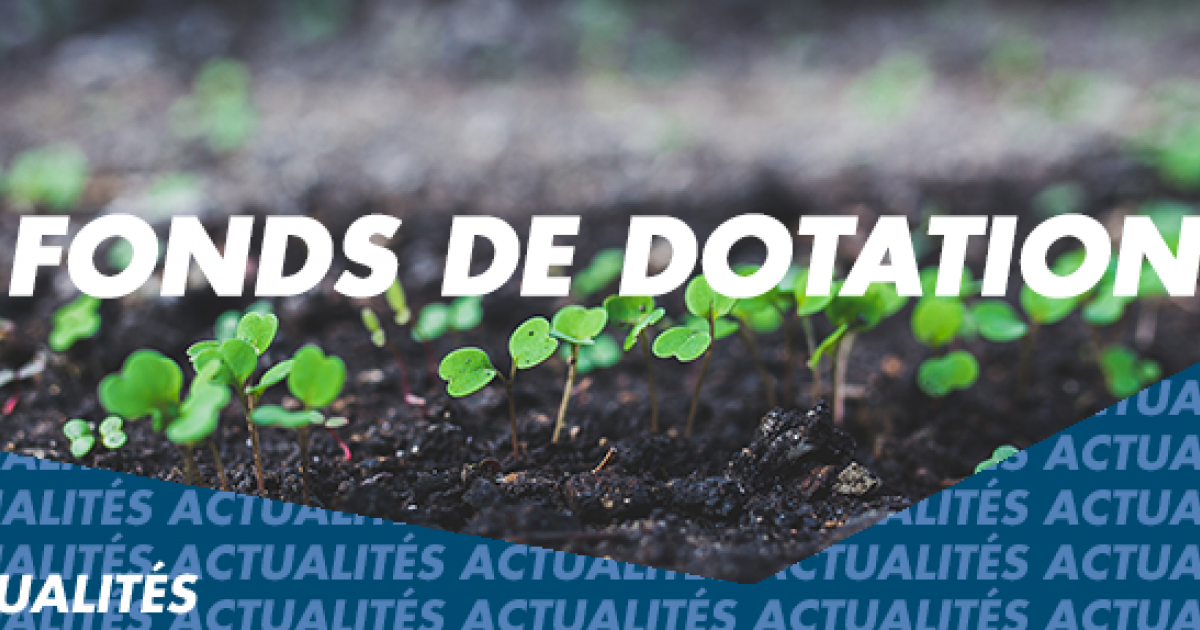 Les fonds de dotation ont toujours la cote | Carenews PRO