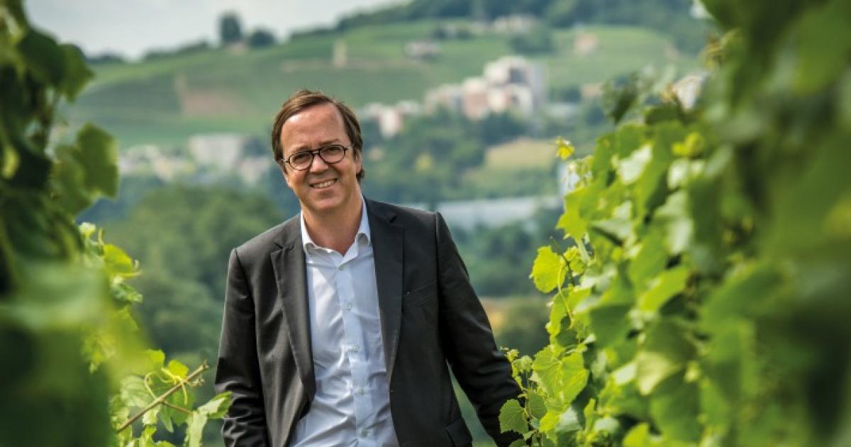 [ITW] Frédéric Rouzaud, Fondation Louis Roederer : un mécénat discret ...
