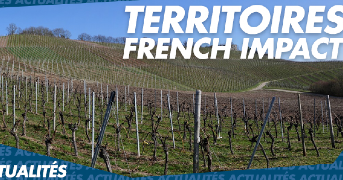 French Impact annonce les 20 premiers territoires labellisés | Carenews PRO