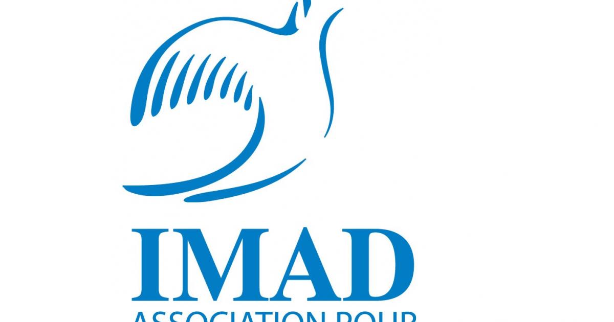 Bienvenue à IMAD pour la Jeunesse et la Paix | IMAD pour la Jeunesse et ...